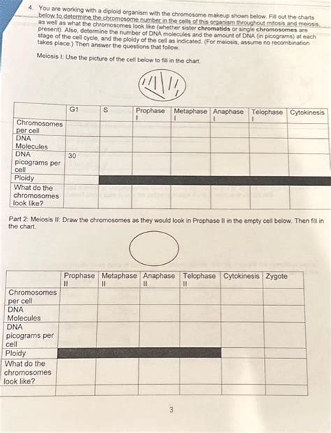 Solved 4 You Are Working With A Diploid Organism With The