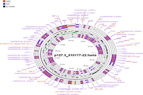 Figure 2 From Characterization Of Cronobacter Sakazakii And Cronobacter Malonaticus Strains