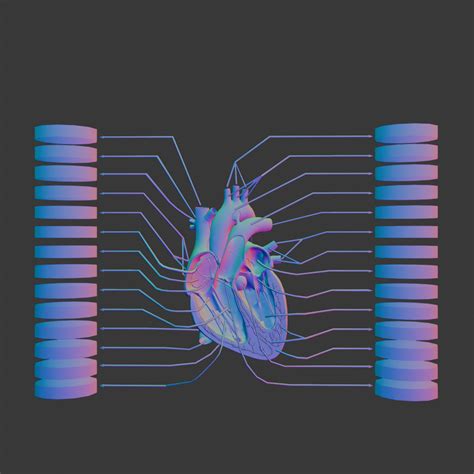 💜 Heart Anatomy Labeled 3d Model Fully Textured Labelling Textured・ Stl File For 3d Printing