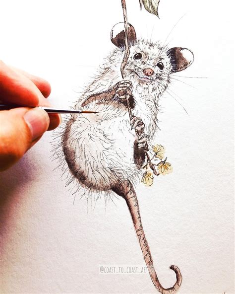 Opossum Kramer Krystal Nativity Native American Clever Artist