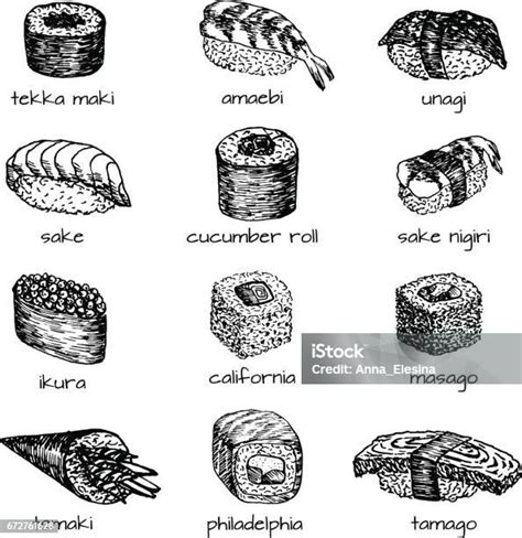 스시와 롤 손으로 그려진된 그림 스케치 일본 음식 간장에 대한 스톡 벡터 아트 및 기타 이미지 간장 고추냉이 낙서 드로잉 Istock