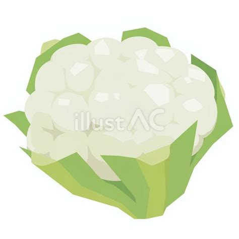 カリフラワーイラスト No 24322090｜無料イラスト・フリー素材なら「イラストac」