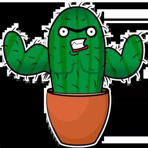 Cactus Stickersb2b — Whatsapp Stickers Pack