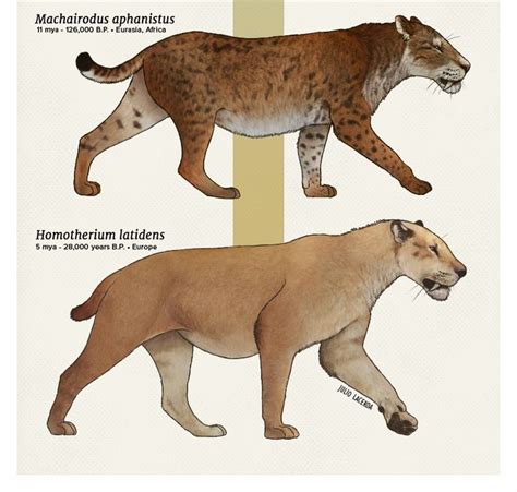 The Rise Of Cats A History Of Feline Dominance