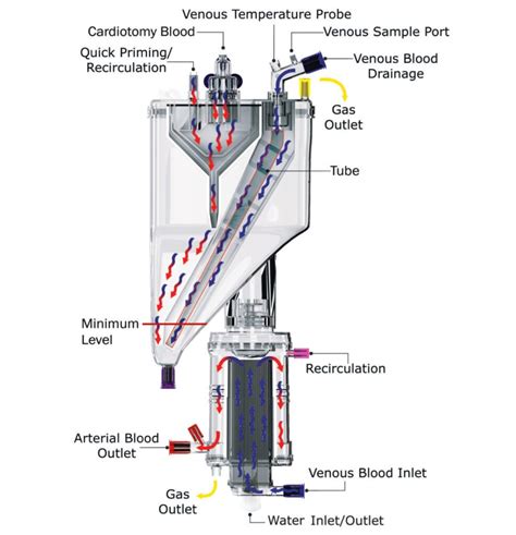 Cardiopulmonary Nipro In India