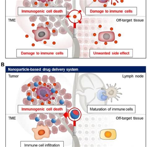 Schematic Illustration Of Off Target Toxicity In Conventional