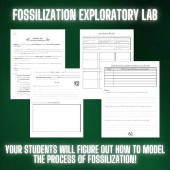 Fossilization Lab And Reading Exploratory Lab Reading With