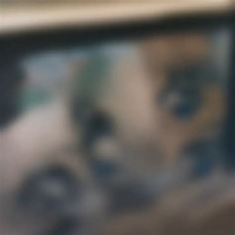 Understanding Zero Order Kinetics Implications