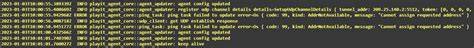 Bug Playitgg Error Cannot Assign Requested Address · Issue 75