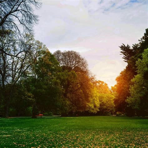 Abdullah Agboola Medium