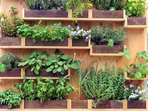 Orto Sul Balcone Tutti I Consigli Per Come Farlo Al Meglio Green It