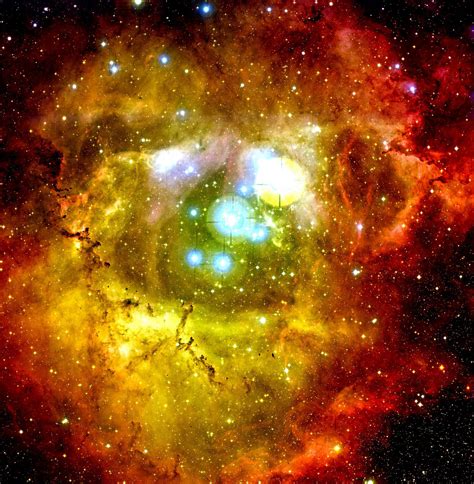The Rosette Nebula
