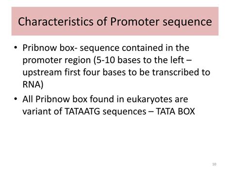 PPT Transcription RNA Synthesis Processing Modification