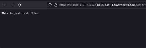 View The S3 Bucket Object SkillsHats
