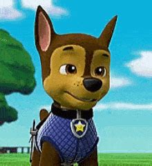 Paw Patrol Icegif