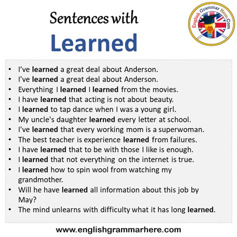 Sentences With Learned Learned In A Sentence In English Sentences For
