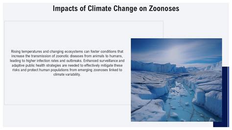 Zoonotic Diseases Animal To Human Infection Risks Ppt Template St Ai