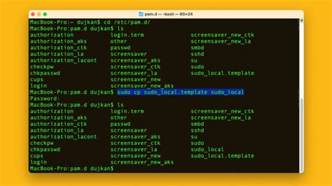 How To Authorize Sudo Command In Macos Terminal With Touch Id