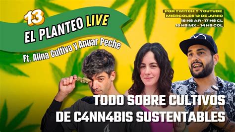 Video Cómo Lograr Un Cultivo De Cannabis Ecológico Y Económico El