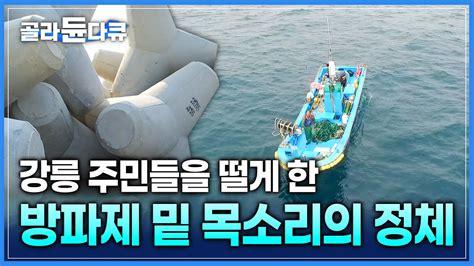 희한한일이야 자꾸 물밑에서 목소리가 들려” 파도만 치면 방파제 밑에서 들려오는 으스스한 소리 골라듄다큐 Youtube