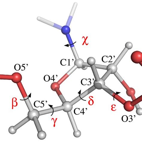 Ball And Stick Representation Of An Rna Fragment The Seven Relevant Download Scientific