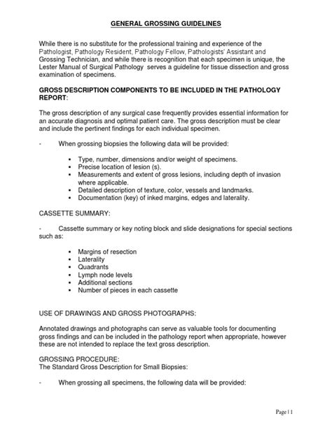 General Grossing Guidelines Download Free Pdf Pathology Biopsy
