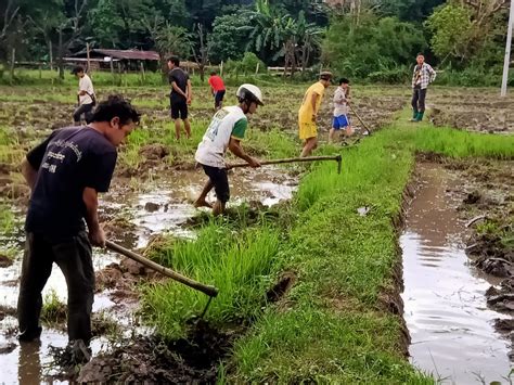 လိပ်သိုမြို့တွင် မိုးအဆက်မပြတ်ရွာသွန်းမှုကြောင့် မိုးစပါးစိုက်ပျိုးနိုင်ရန် အသိပညာပေး ထွန်ယက်ခြင