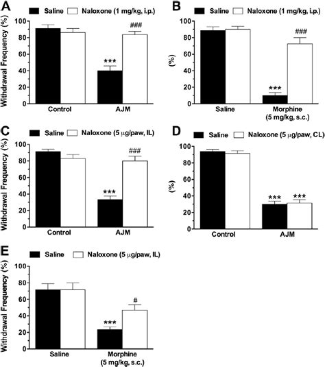 Figure 2 From Ankle Joint Mobilization Decreases Hypersensitivity By Activation Of Peripheral