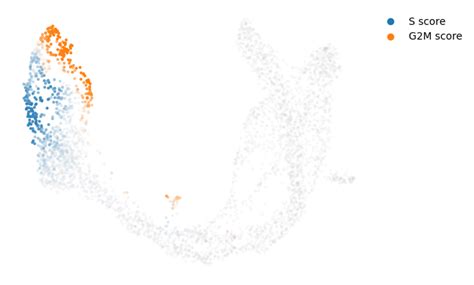 Rna Velocity With Scvelo Single Cell Transcriptomics With Python