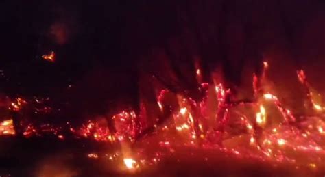 Incendiu de proporții într o pădure din Galați Focul s a extins pe 10