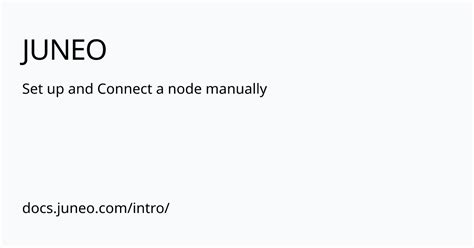 Set Up And Connect A Node Manually Juneo Supernet