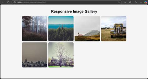 How To Build A Responsive Image Gallery With Html And Css Browserstack