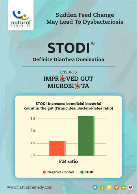 Facilitating Gut Microbiome With Standardized Polyherbal Formulation