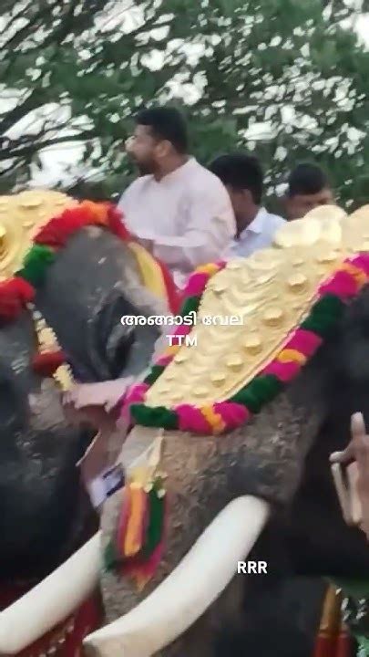 Vela Angadi Vela Pooram Youtube