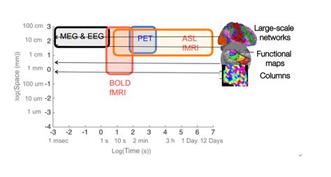 【fmri Note】module 1 Introductions And Ground Rule 知乎