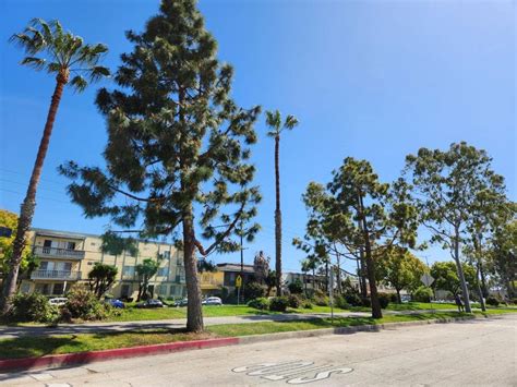 Beautification Project Spruces Up Culver Boulevard In Del Rey Culver