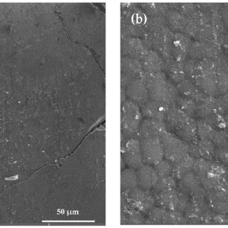 FE SEM With A Low And B Higher Magnification Of The Upper Surface Download Scientific