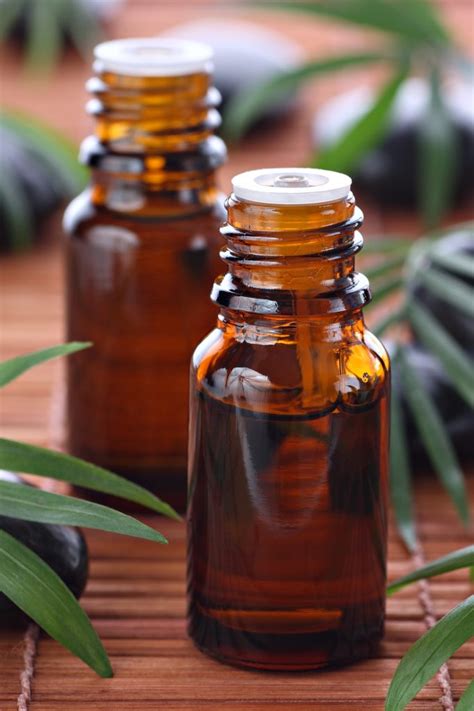 The Best Antiviral Essential Oils The Forest Wellness
