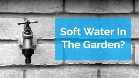 Should I Use Soft Water In My Garden Tap Scott Jenkins Water