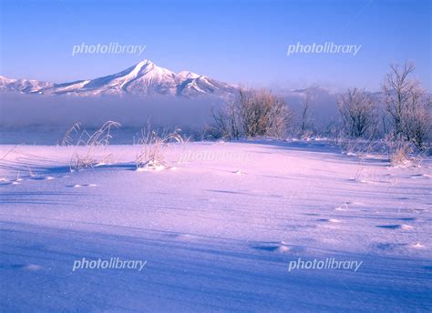 Photolibrary