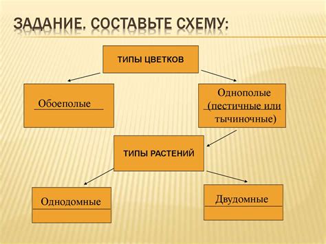 Размножение покрытосеменных 7 класс презентация онлайн
