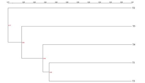 Cluster Analysis Of Upgma Of Banding Patterns Generated From Pcr Dgge