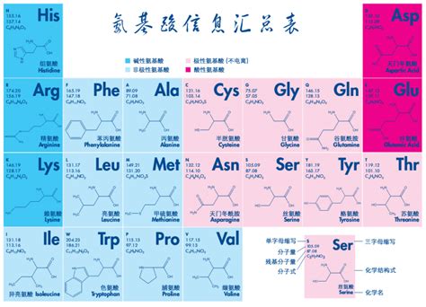20种氨基酸 20种氨基酸缩写 随意云