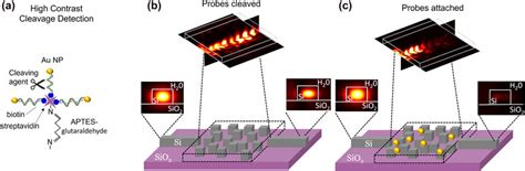 Construction And Operation Of The Integrated Inverse Designed