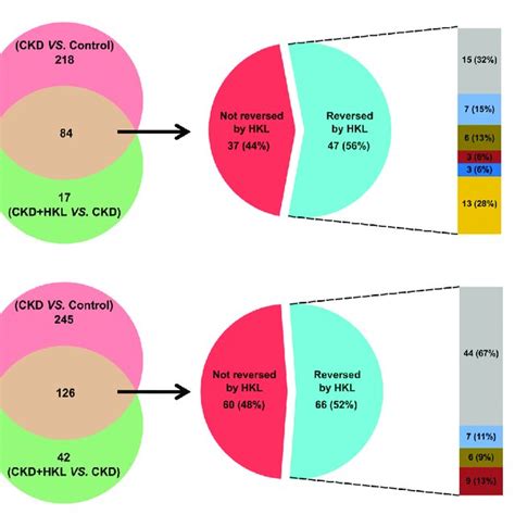 Heatmap Analysis Of The Lipids Reversed By Hkl Treatment In Ckd Rats