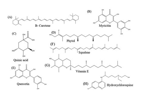 Chemical Structure Ofactive Phyto Constituent Of Moringa Oleifera Used Download Scientific