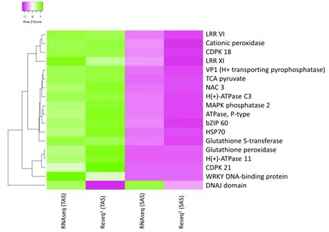 hierarchical clustering heatmap based on the differential expression download scientific