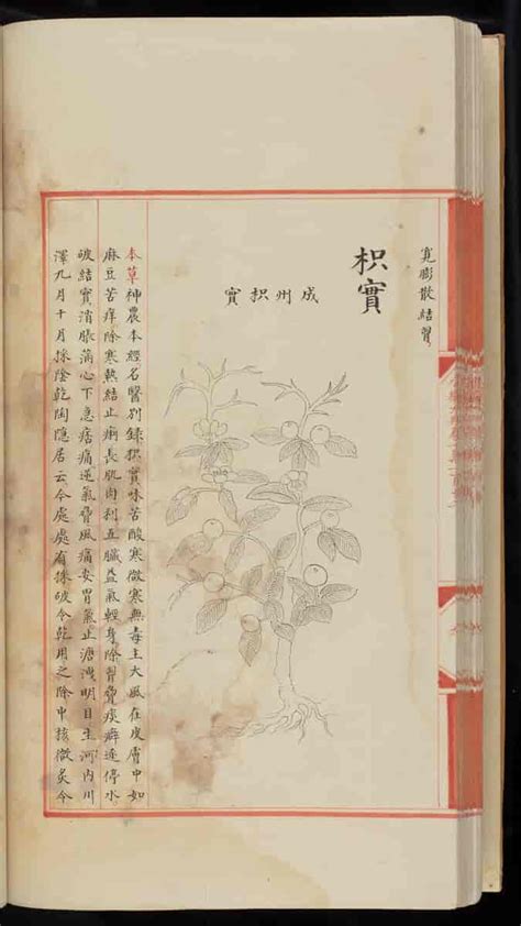 Yongle Dadian Lex
