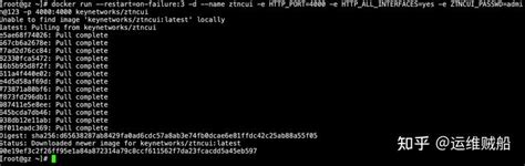 免费的异地组网神器Docker搭建教程 ZeroTiger 知乎